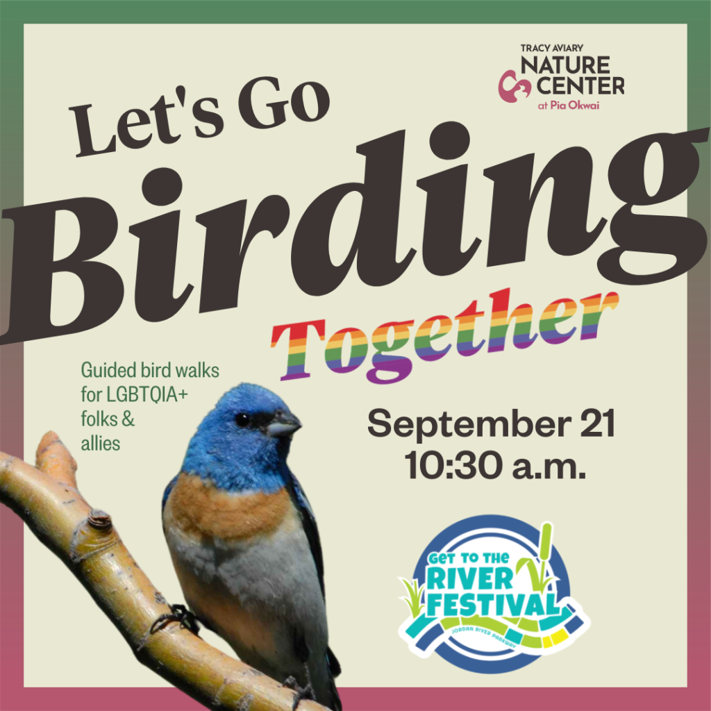 Let’s Go Birding Together – Jordan River Commission