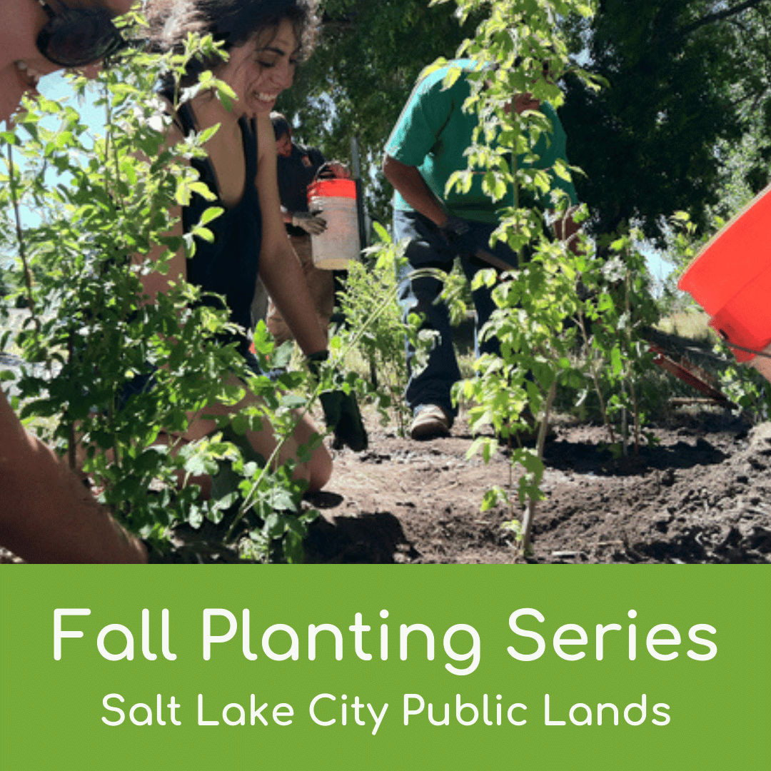 Salt Lake City Public Lands Fall Planting Series – Jordan River Commission