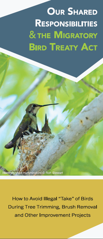 Our Shared Responsibilities and the MBTA – Jordan River Commission