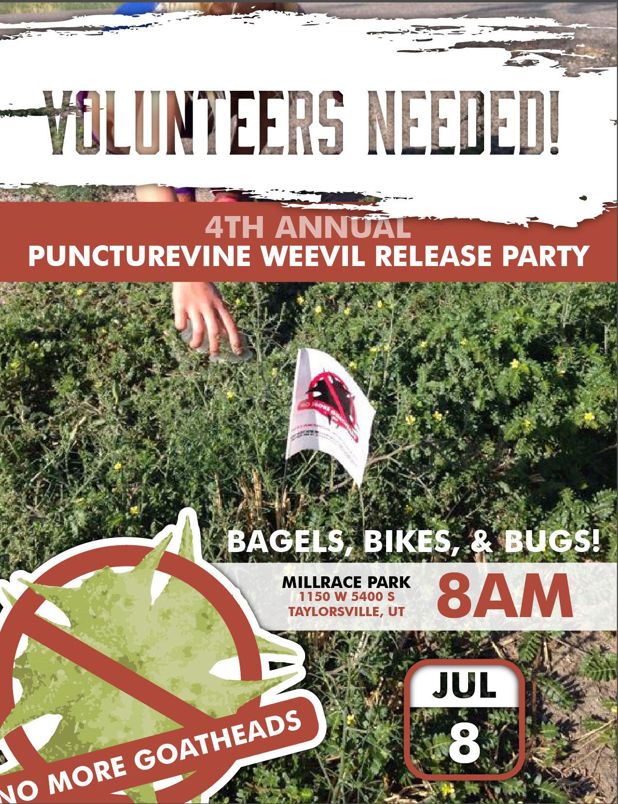 4th Annual Puncturevine Weevil Release Party – Jordan River Commission